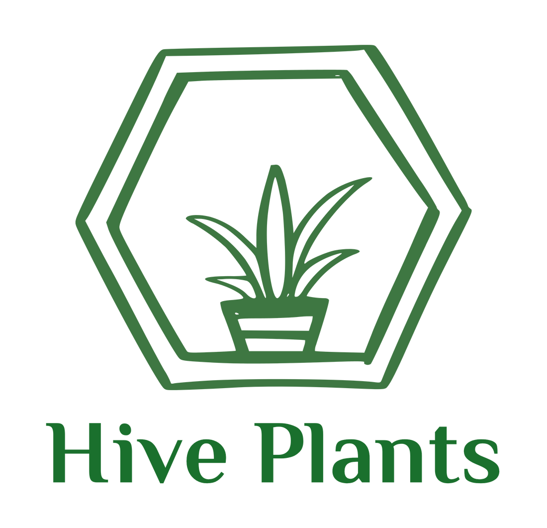 Hive Plants – The White Oak Collection - Hive Plants